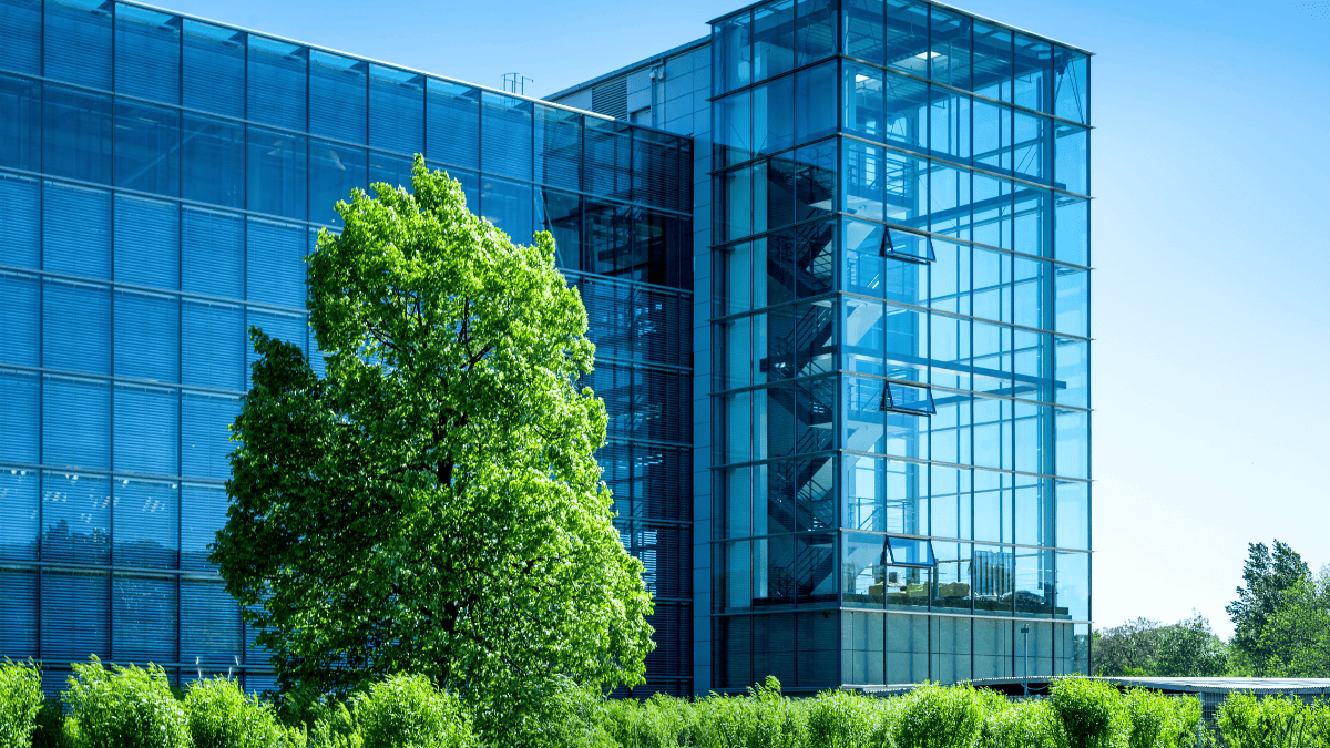 Subsidiary or branch: which corporate form is best for operating abroad ...